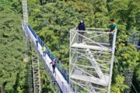 Jejantas Rimba - Institut Penyelidikan Perhutanan Malaysia